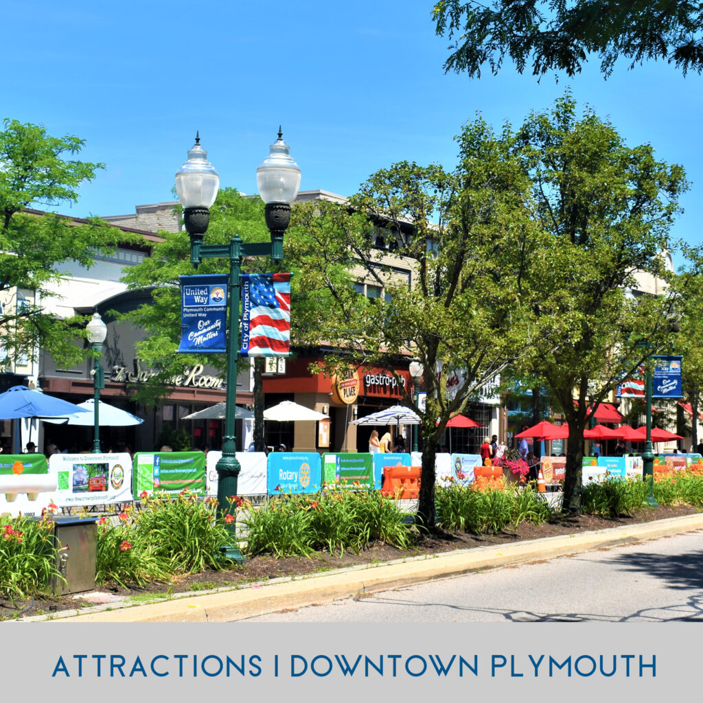 GALLERY – Warris Farms